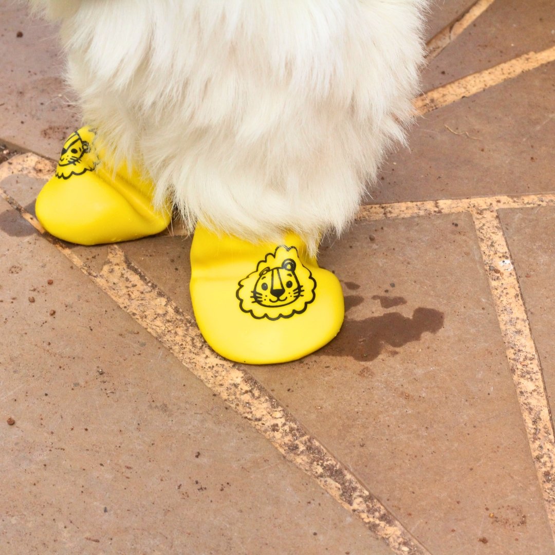 Buy Zoof Tiny Rawr Dog Rain Boots | Dog Boots at Zoof Pets