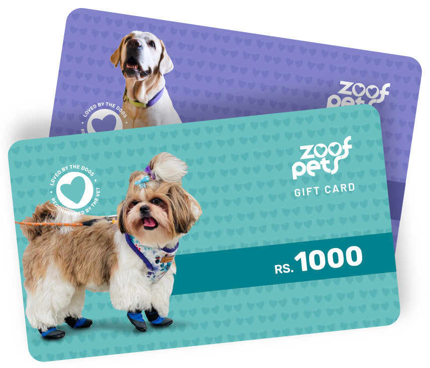 Zoof Pets Gift Cards | Gift Dog Shoes & More