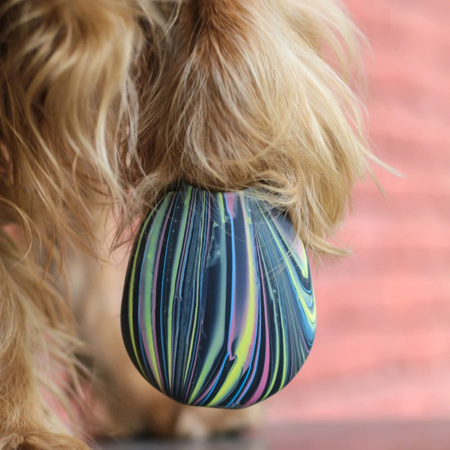 Zoof Dog Boots | Waterproof Dog Rain Boots By Zoof Pets